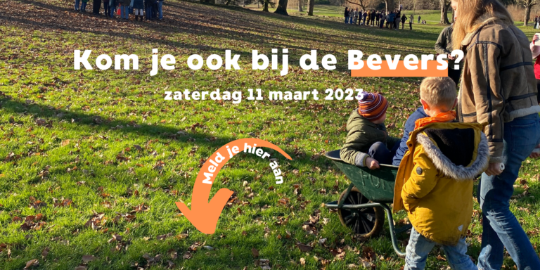 Bevers – Scoutingsteyn.nl